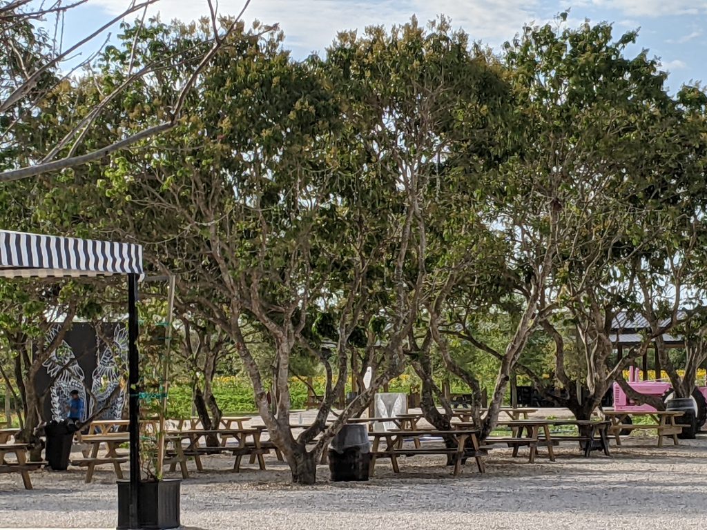 Field Trip to The Berry Farms – Pink Truth