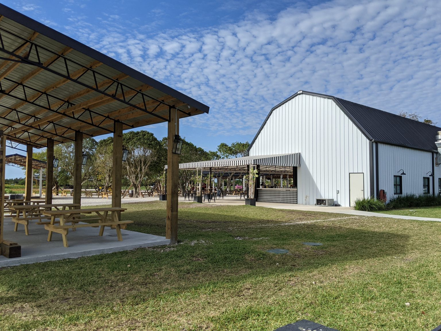 Field Trip to The Berry Farms – Pink Truth